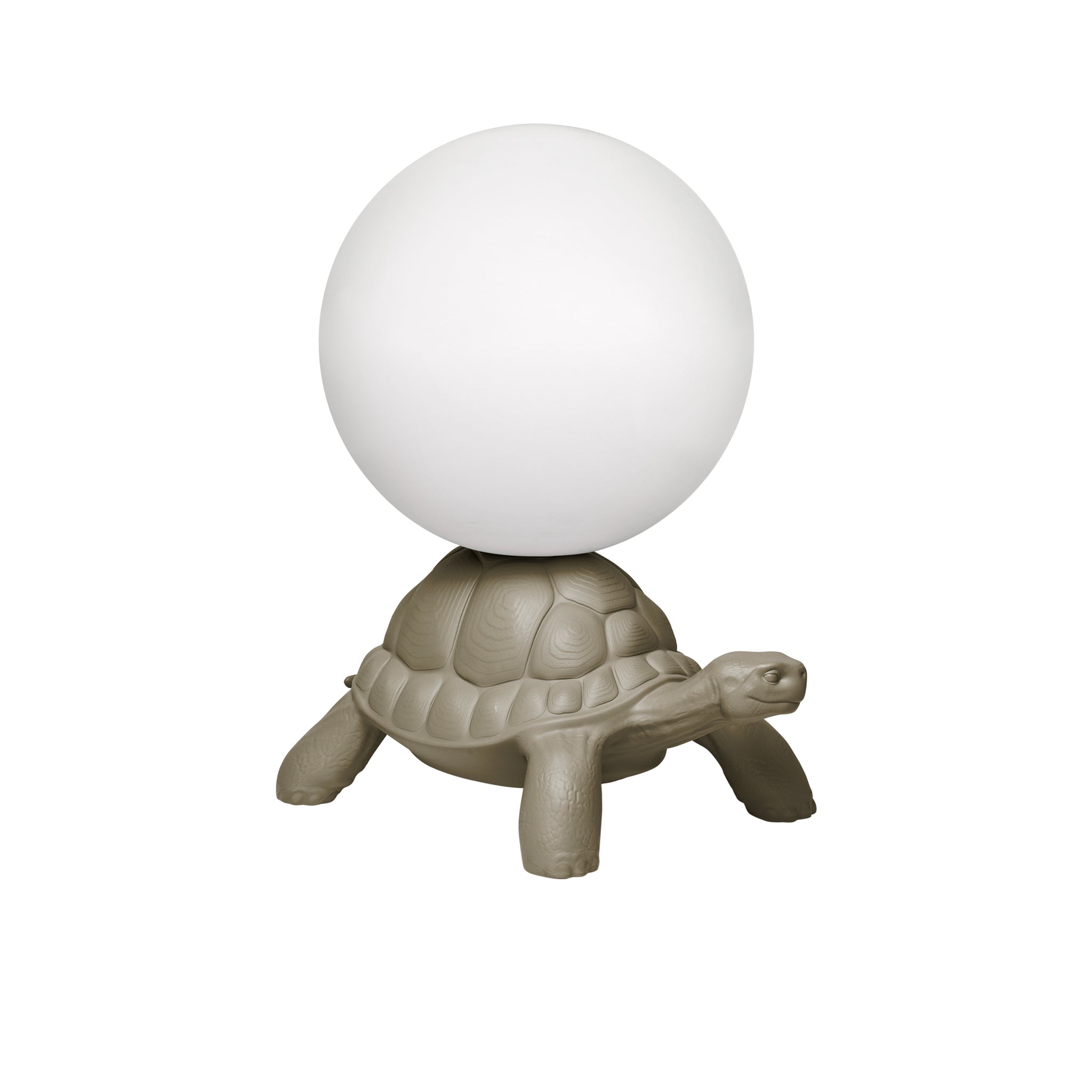 Turtle Carry Gray Lighting – Sihir Mobilya